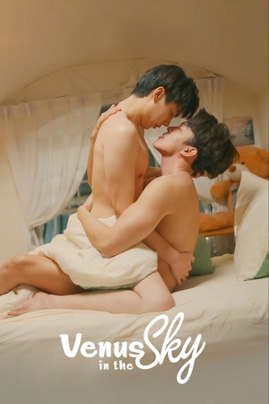 Venus in the Sky - 恋恋维纳斯