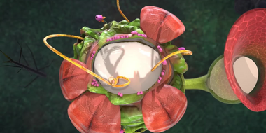 Vaira Chronicles - Chapter 1 - Bonus Video