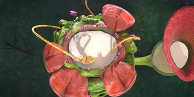 Vaira Chronicles - Chapter 1 - Bonus Video