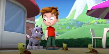 PAW Patrol - Specials - Pups Save the Sea Turtles; Pups and the Very ...